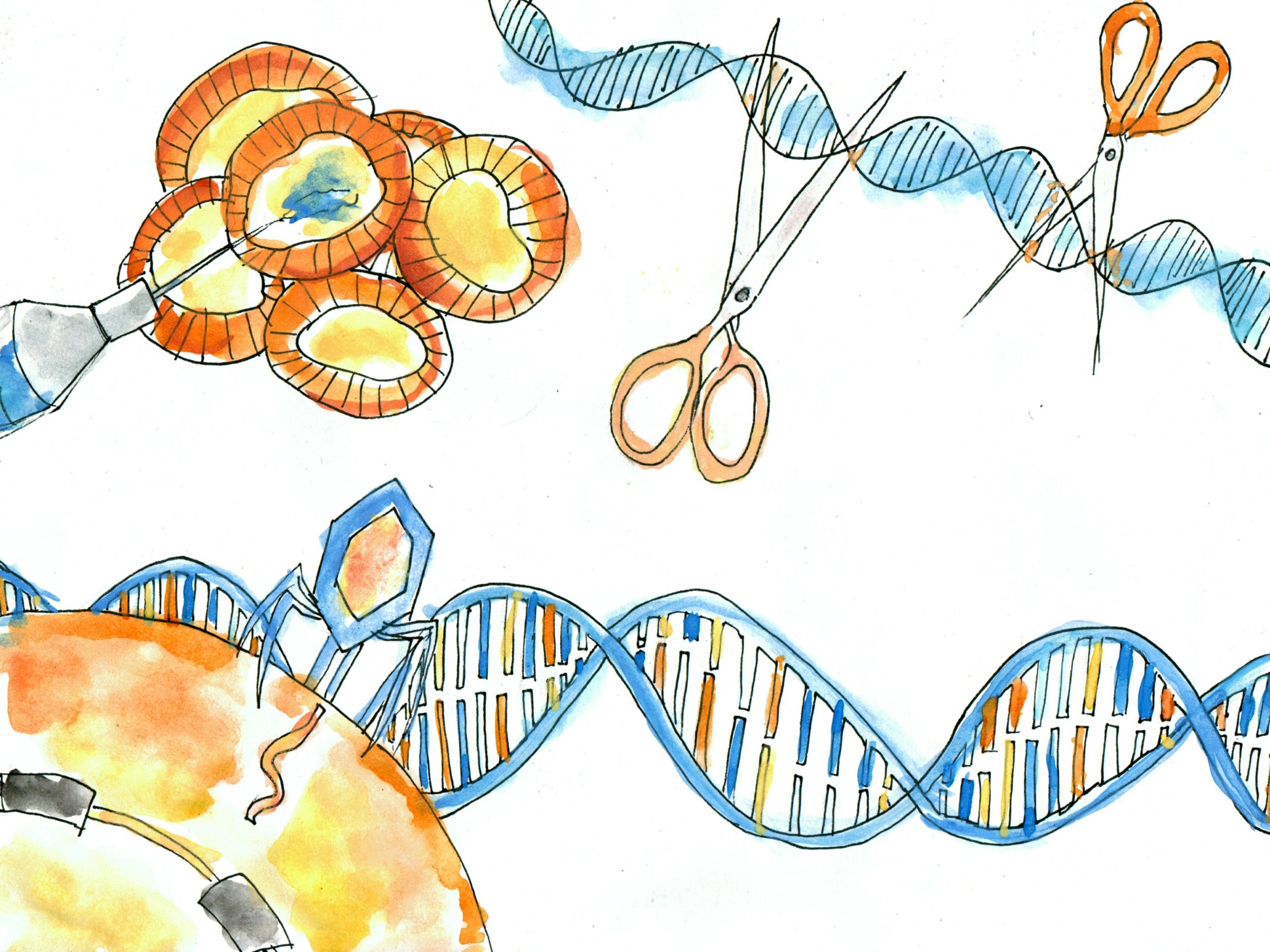 The Trouble With CRISPR - The Strand