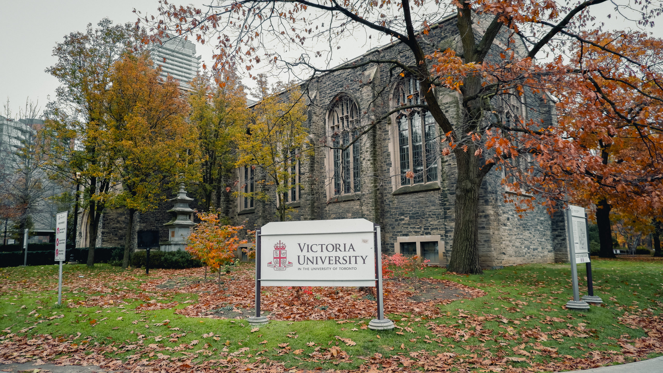 Victoria College's review for the selection of the president - The Strand