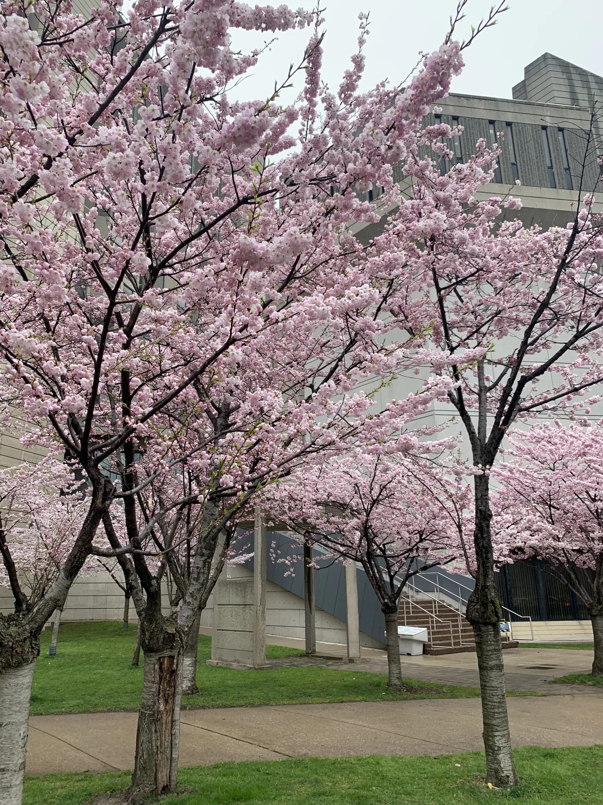The realest moments at UofT St. George - The Strand